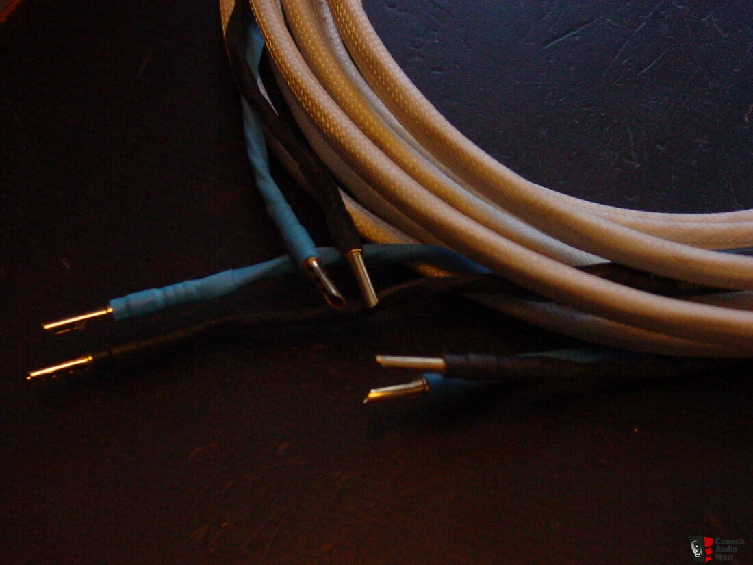 Signal Cable" Silver Resolution Reference Speaker cables - 12 Ft pair ...