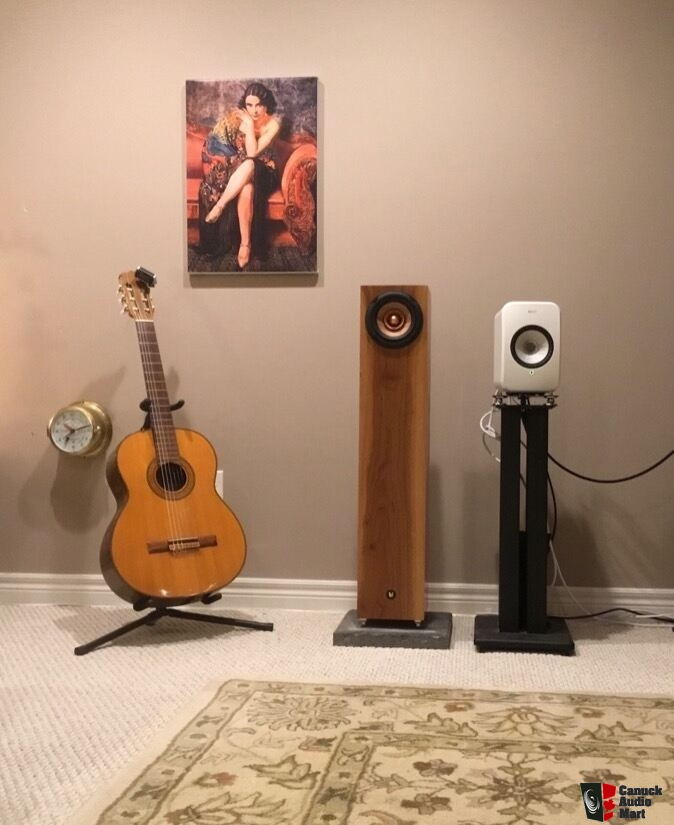 Unity Audio Whitewater Tower Speakers Photo #4251271 - Canuck Audio Mart