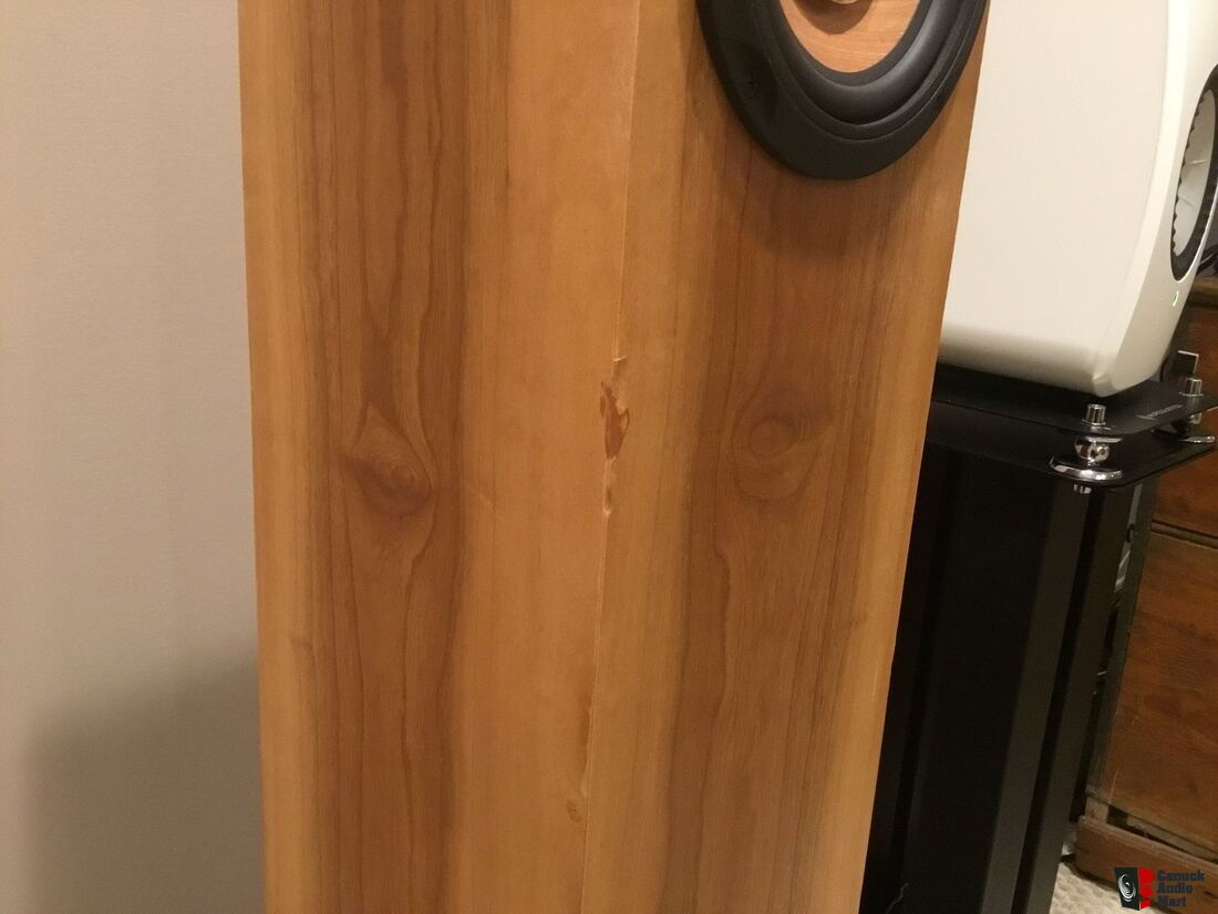 Unity Audio Whitewater Tower Speakers Photo #4251273 - US Audio Mart
