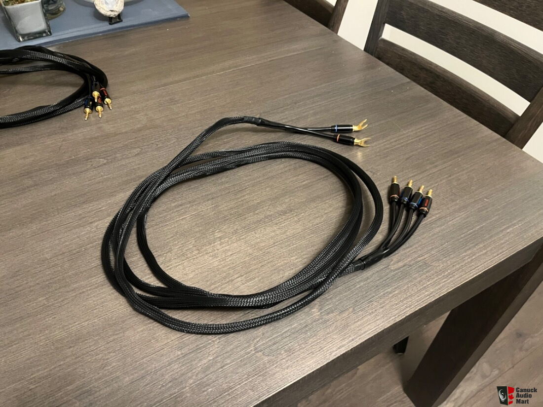 QED / Neotech single bi-wire 10 foot cables For Sale - US Audio Mart