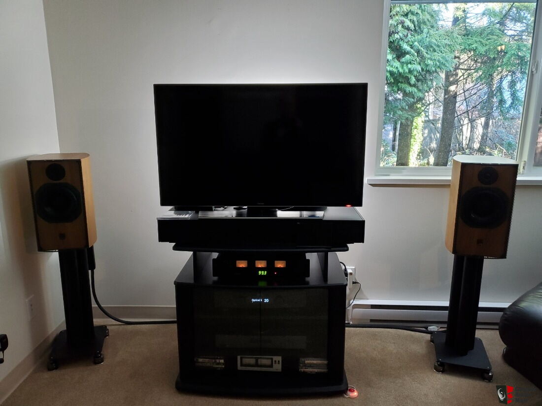 ATC 19 V.2, Transparent cables, IsoAcoustics Feet, Stands For Sale ...
