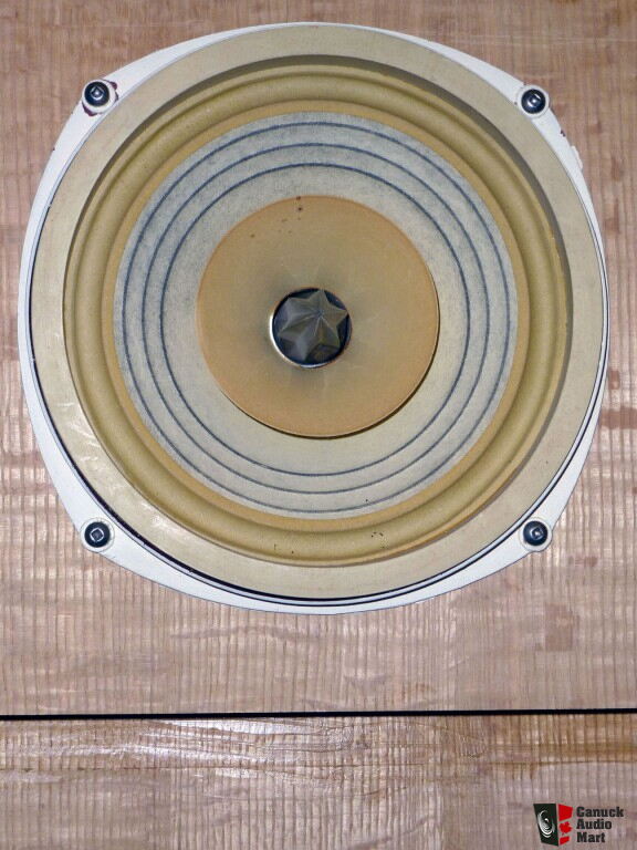 Coral Beta 8 Full-Range speakers in custom Medite Horn-Loaded Cabs ...