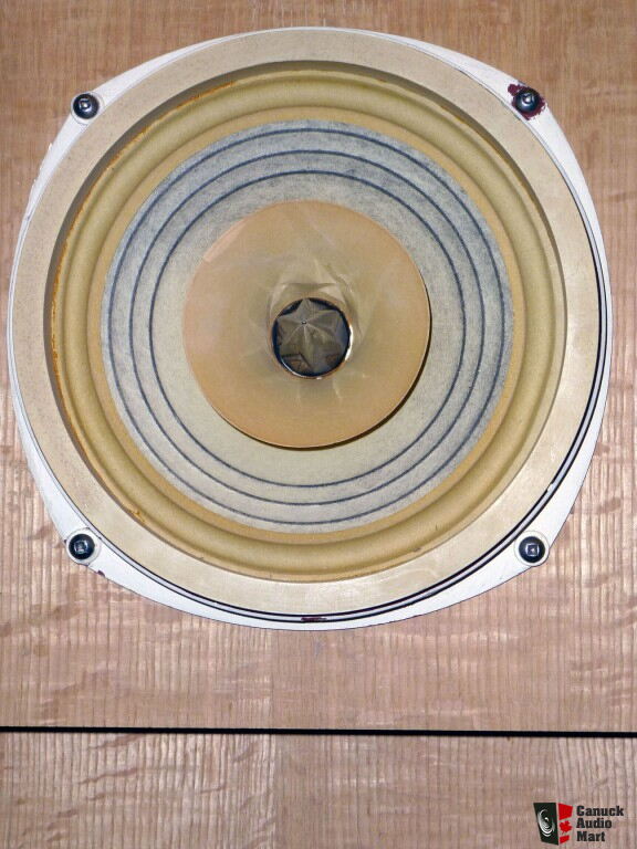 Coral Beta 8 Full-Range speakers in custom Medite Horn-Loaded Cabs ...