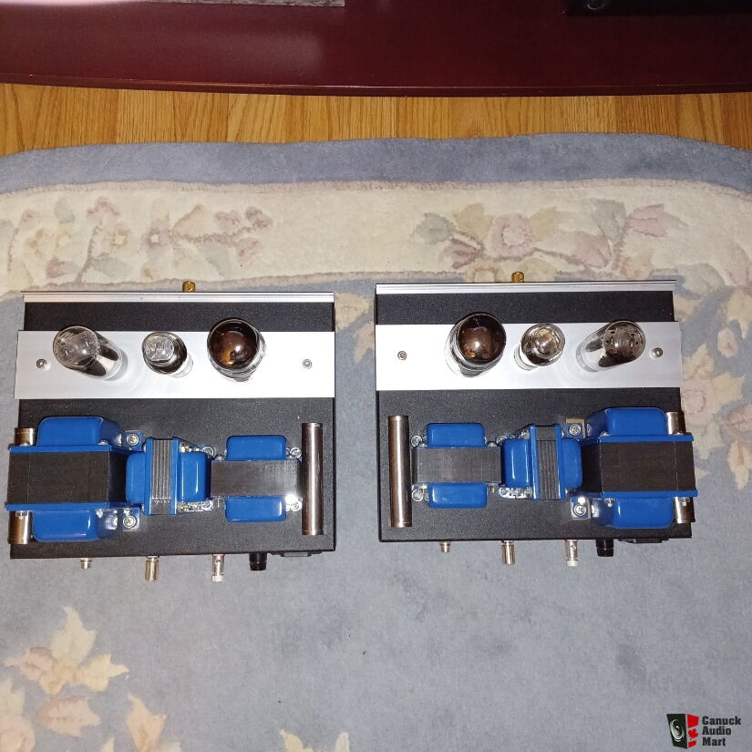 Rudyson single ended mono blocks For Sale - Canuck Audio Mart