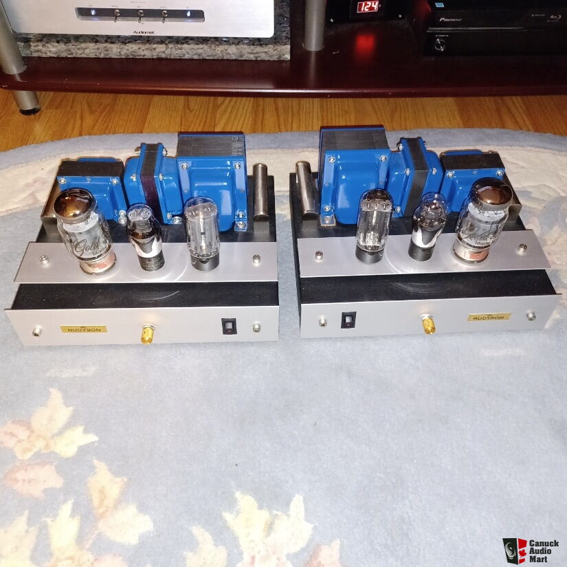 Rudyson single ended mono blocks Photo #4264662 - Canuck Audio Mart
