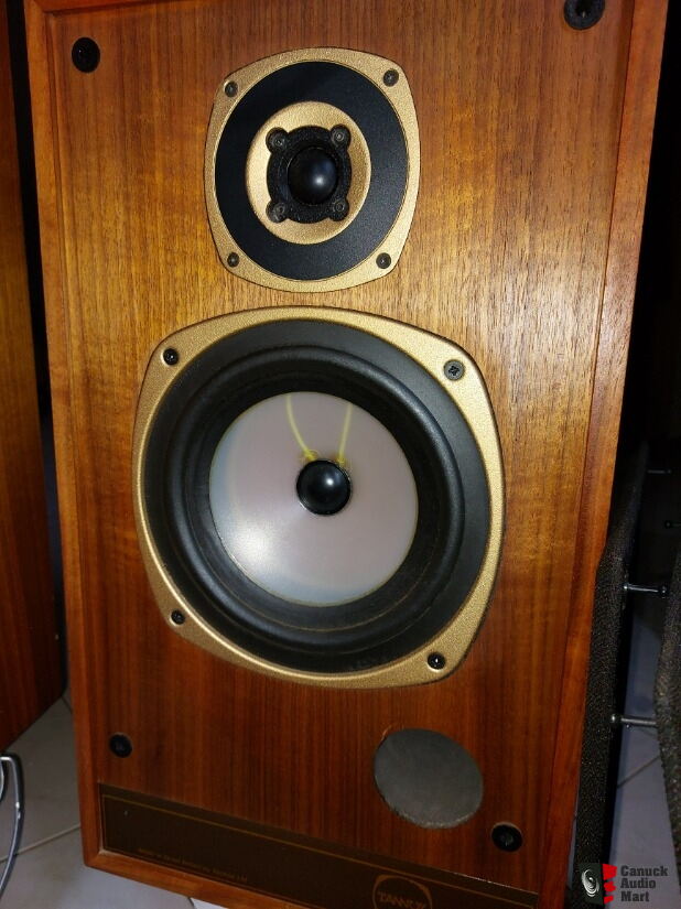 Tannoy Venus v30 MK2 Photo #4267337 - Canuck Audio Mart