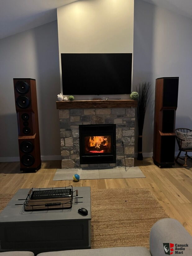 Tyler Acoustics D 10 Photo #4135174 - US Audio Mart