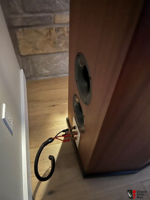 Tyler Acoustics D 10 Photo #4275217 - Canuck Audio Mart