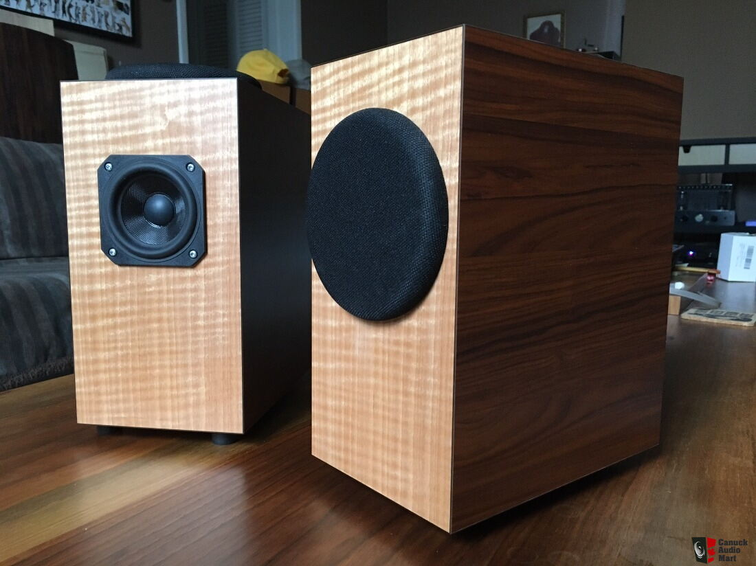 Single driver speakers Photo #4275877 - Canuck Audio Mart