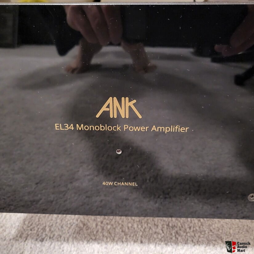 ANK el34 mono blocks Photo #4277183 - Canuck Audio Mart