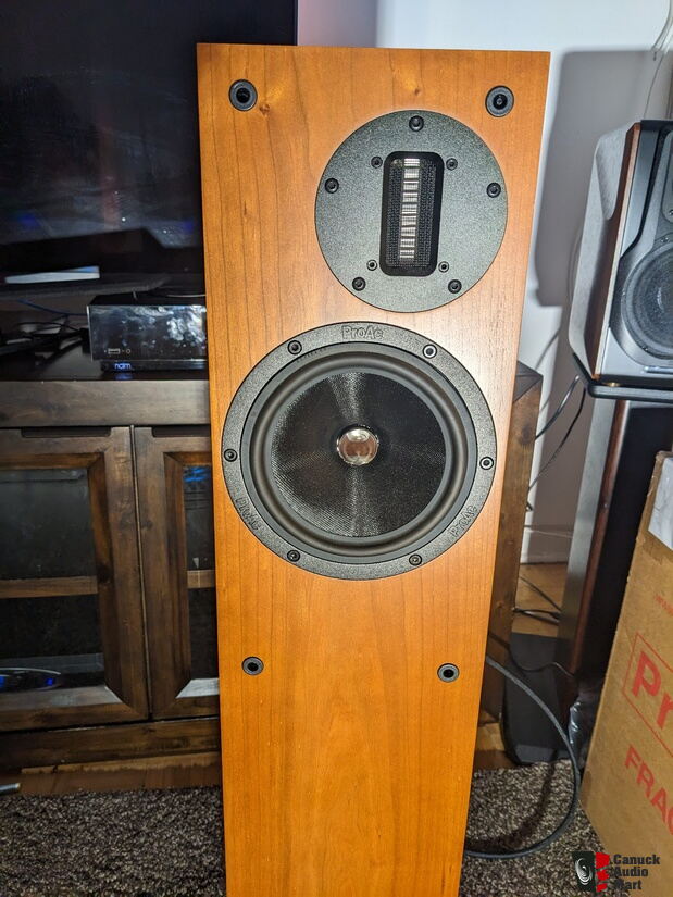 ProAc Response D20R Floor standing loudspeakers with ribbon tweeters ...