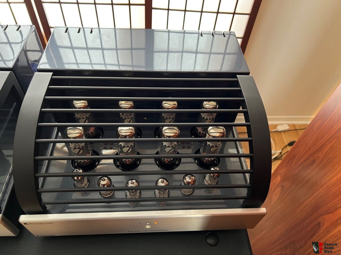 PrimaLuna EVO400 Power Amp Monoblocks Silver (2 units) Photo #4279241 ...
