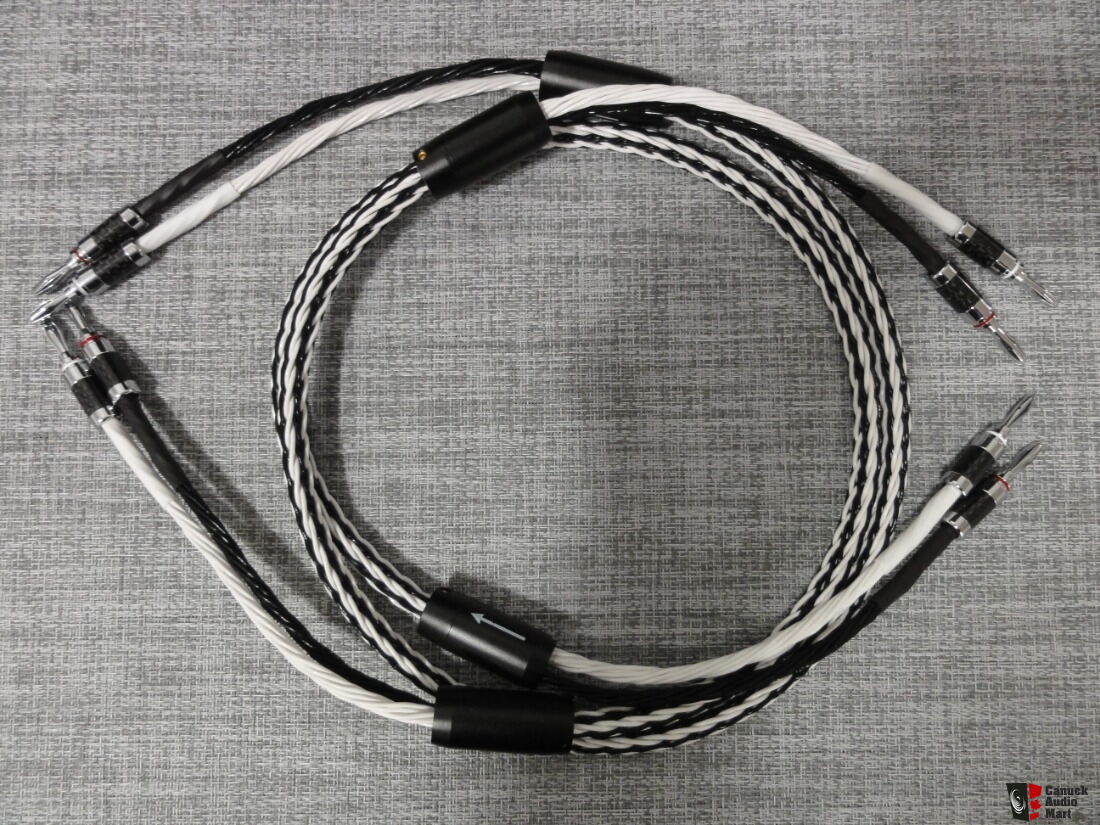 High End Sexy Speaker Cables With Solid Metal Buckles & Rhodium ...