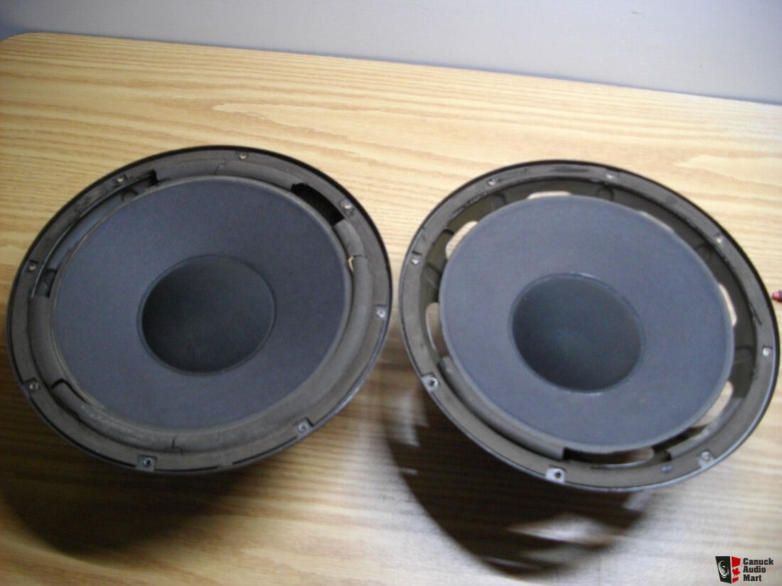 Philips 12 inch woofers AD 12252/W8 For Sale - US Audio Mart