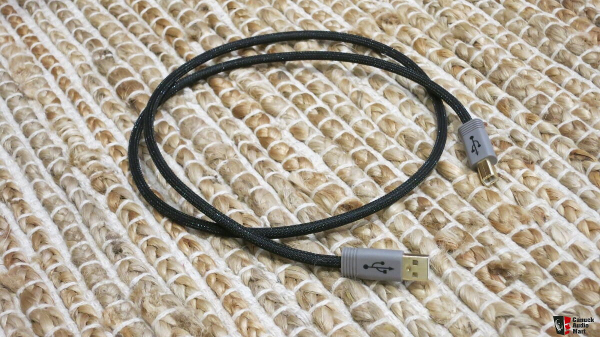 Straight Wire: 1 Chorus and 1 USB-Link Photo #4284675 - Canuck Audio Mart