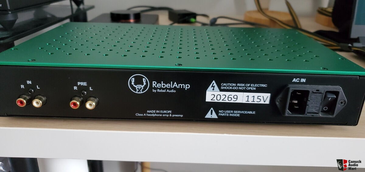 Rebel Amplifier Photo #4285800 - Canuck Audio Mart