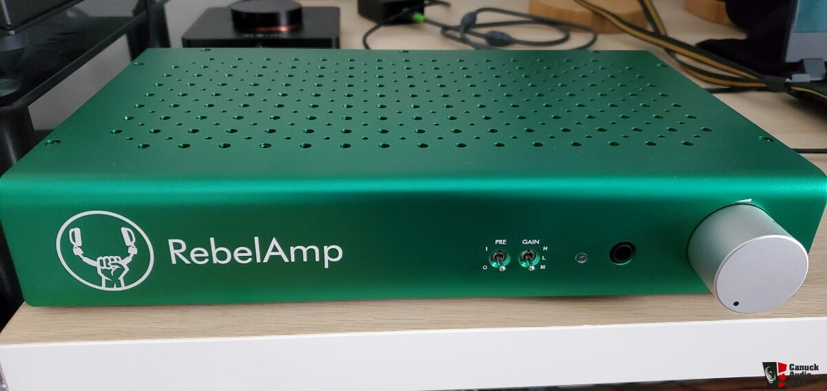 Rebel Amplifier Photo #4285800 - Canuck Audio Mart