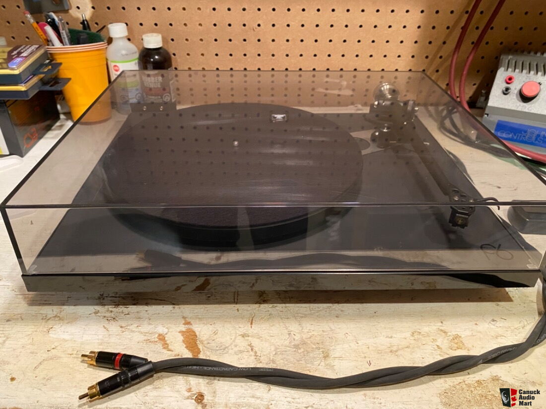 Rega P6 with Goldnote Vesari Gold MM For Sale - Canuck Audio Mart