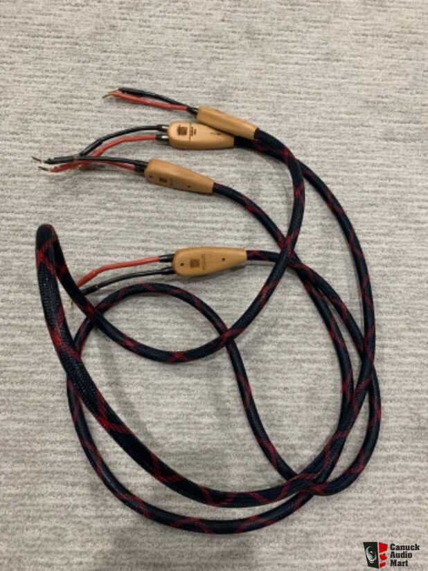 Grant fidelity speaker cable For Sale - Canuck Audio Mart