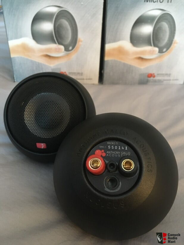 Anthony Gallo Nucleus Micro Ti in Excellent Condition Photo #4297626 ...