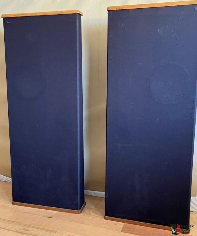 DCM Time Frame TF700 Photo #4303391 - US Audio Mart