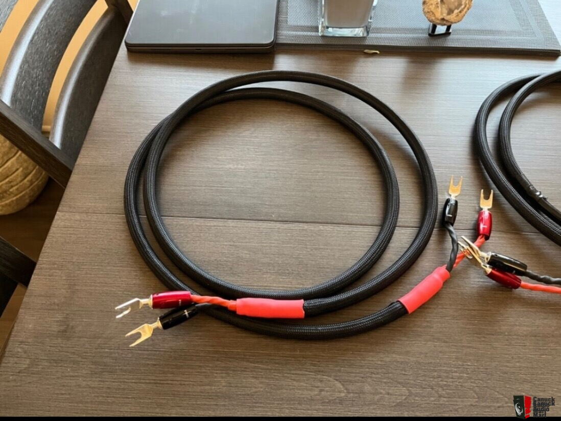Neotech NES 3005 OCC copper with Audioquest Suregrip 1000 spades Photo ...