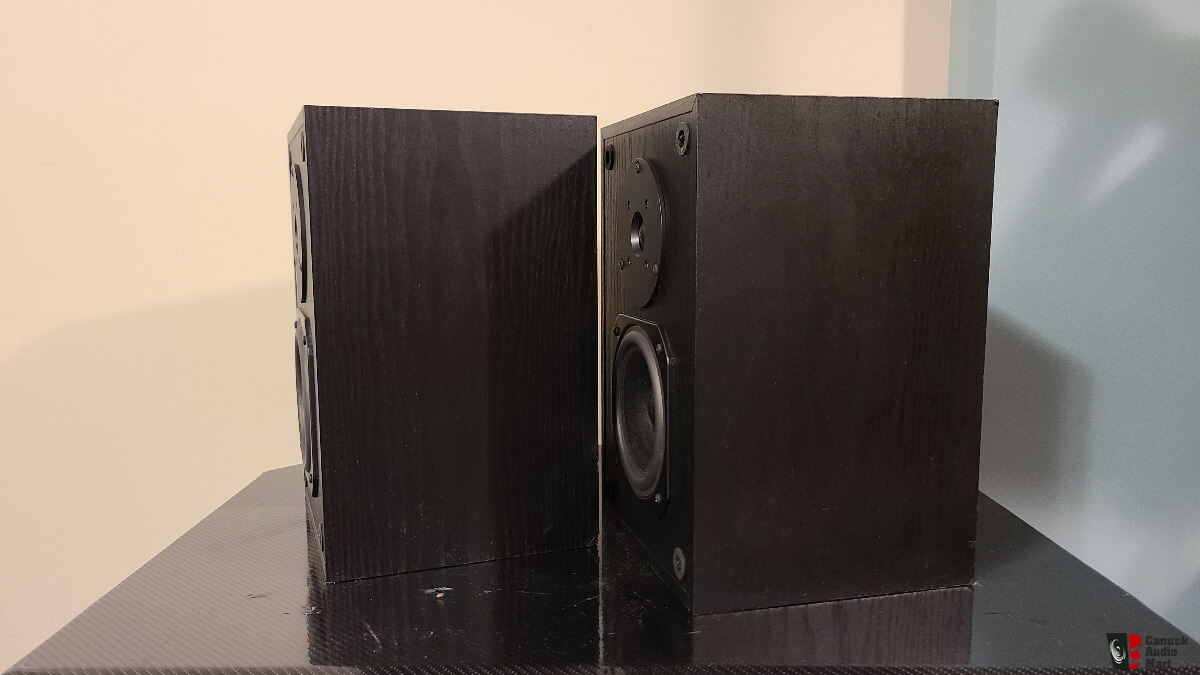 Design Acoustics DB-5 Standmount Loudspeakers Photo #4309009 - Canuck ...