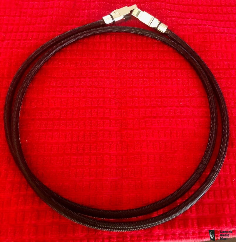 Custom Ethernet Cable - Silver Core / Black Cover; 1 metre long For ...
