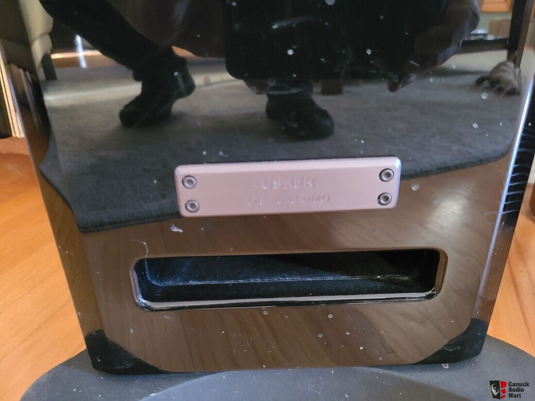 Usher Dancer Mini-One Diamond Speakers Photo #4312771 - US Audio Mart