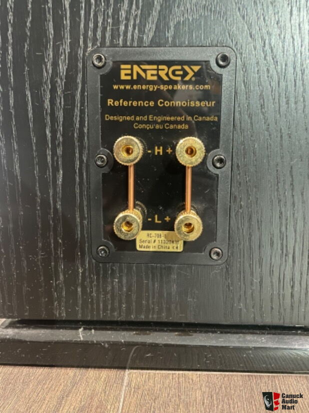 Energy RC-70 Tower and Energy RC LCR Center Speakers Photo #4313358 ...