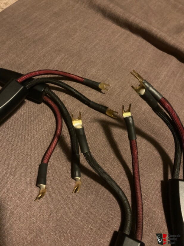 Transparent ultra speaker cables Photo #4314746 - Canuck Audio Mart