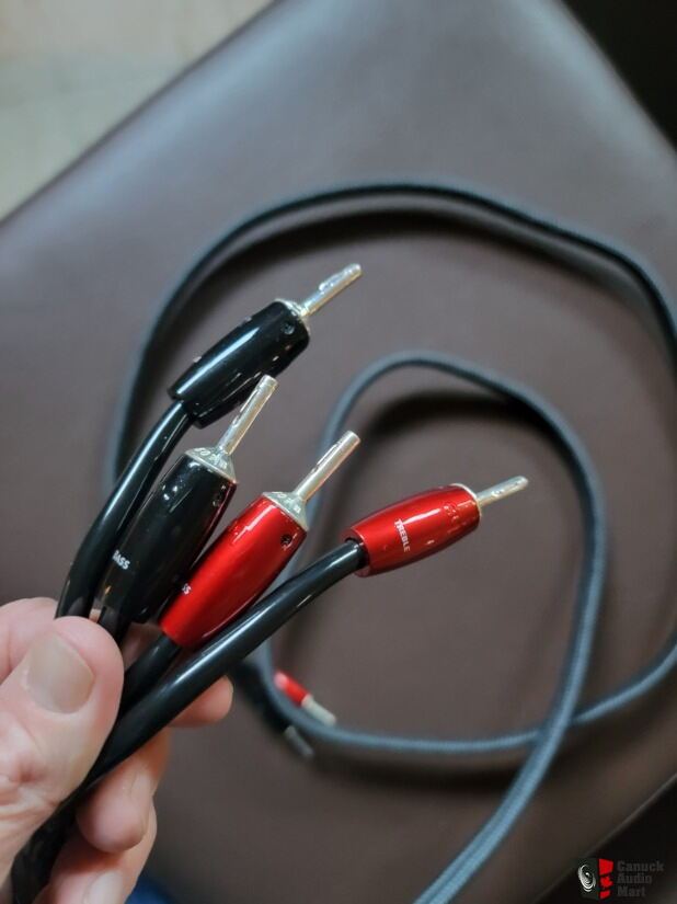 Audioquest Rocket 44 Biwire For Sale - Canuck Audio Mart