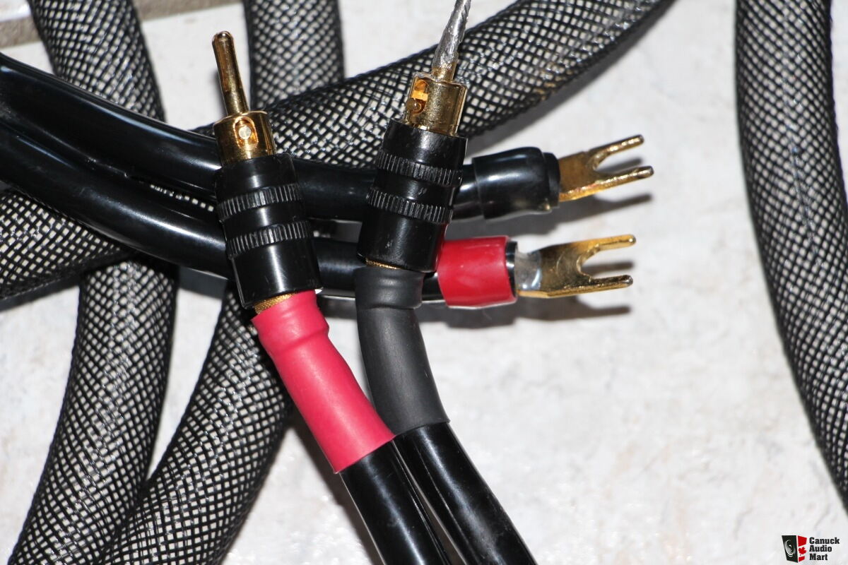 Transparent Audio MusicWave Ultra MM speaker cables, 15 feet (4.6m ...