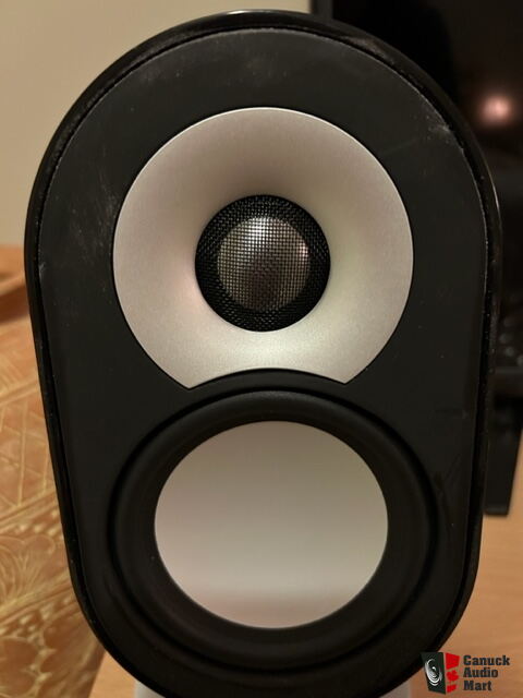 Paradigm Millenia CT - as is For Sale - Canuck Audio Mart