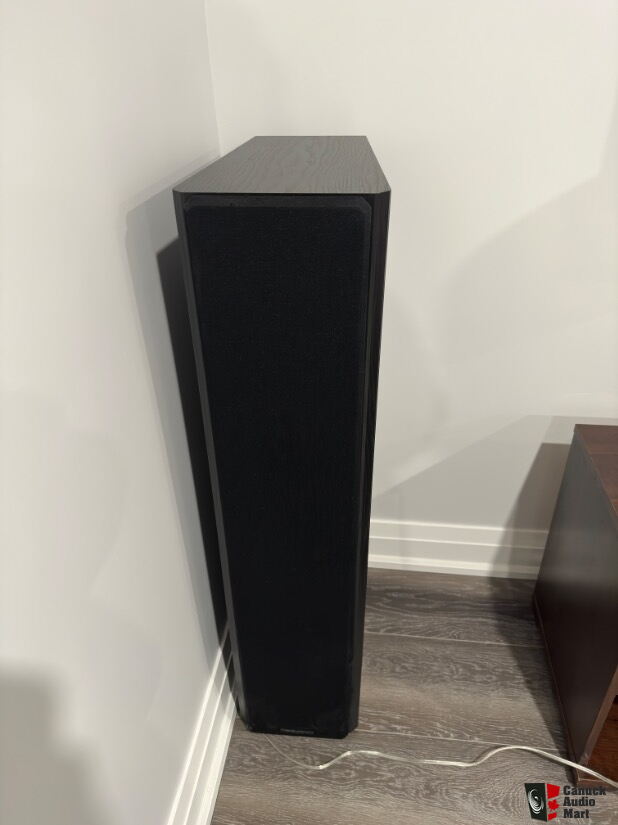 Pair of Bryston A2 Loud Speakers Photo #4328348 - Canuck Audio Mart