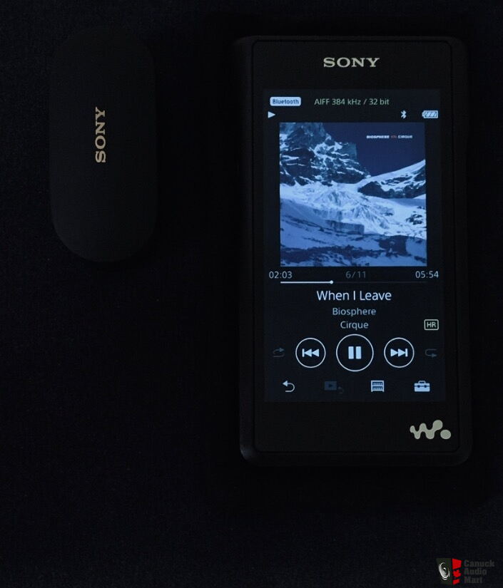 FLAWLESS Sony WF-1000XM4 Wireless Earphones, Black (Japan Import ...