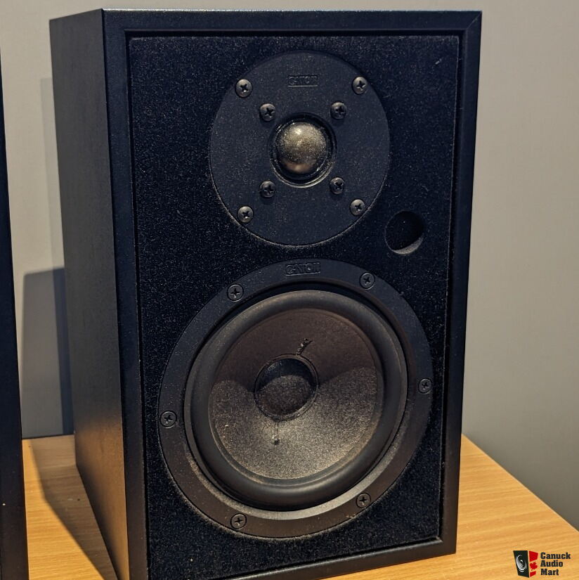 Canton Fonum 250 bookshelf speakers Photo #4343540 - US Audio Mart