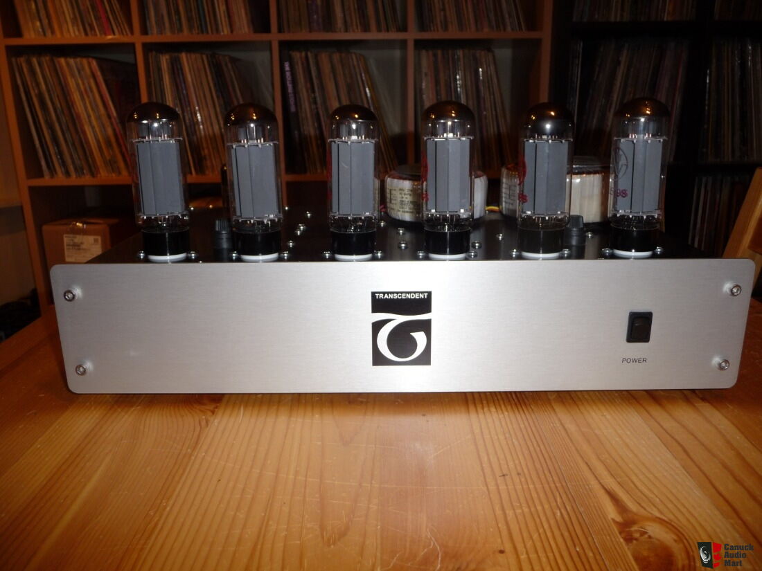 Transcendent Sound Mini Beast For Sale Photo #4353513 - US Audio Mart