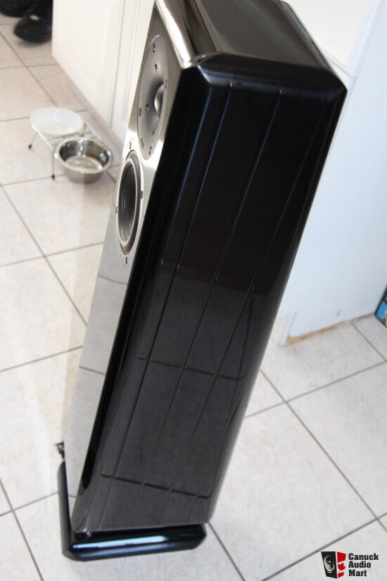 Chario 'K' Cygnus speakers Photo #4356367 - UK Audio Mart