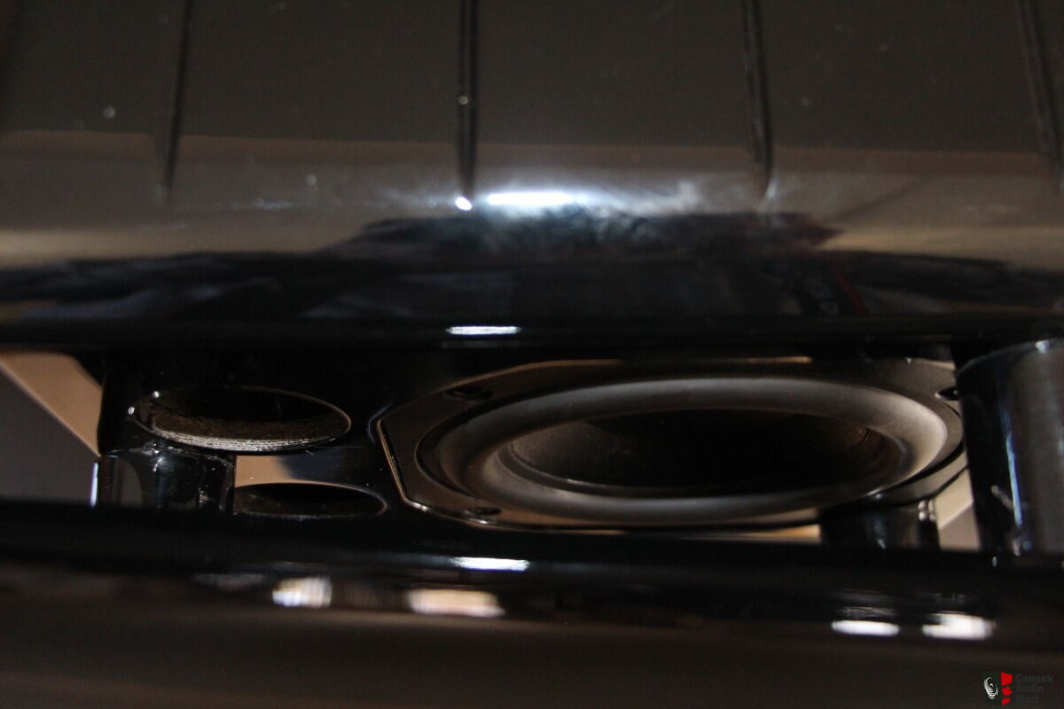 Chario 'K' Cygnus speakers Photo #4356369 - Canuck Audio Mart