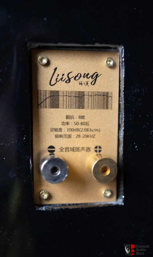 Lii Song Glory S-10 Speakers pair Photo #4357239 - Canuck Audio Mart