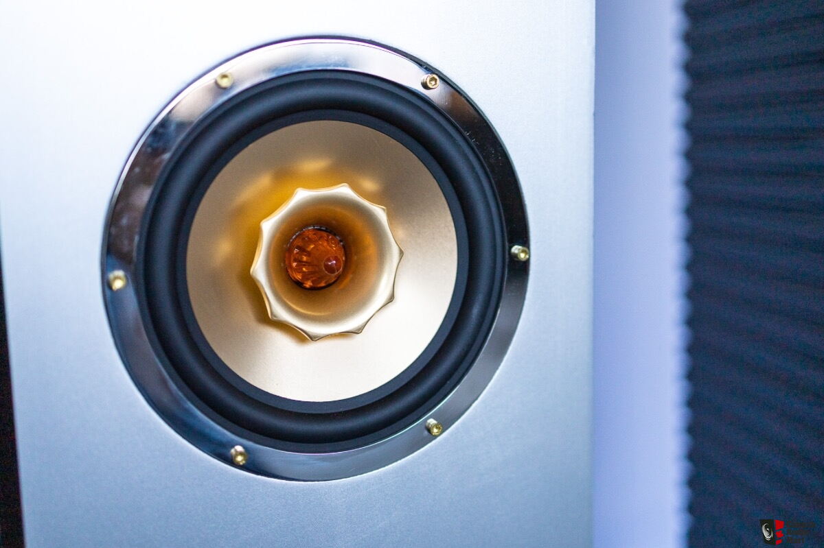 Lii Song Essence C6 Dual Horn Full Range Speaker pair Photo #4357269 ...
