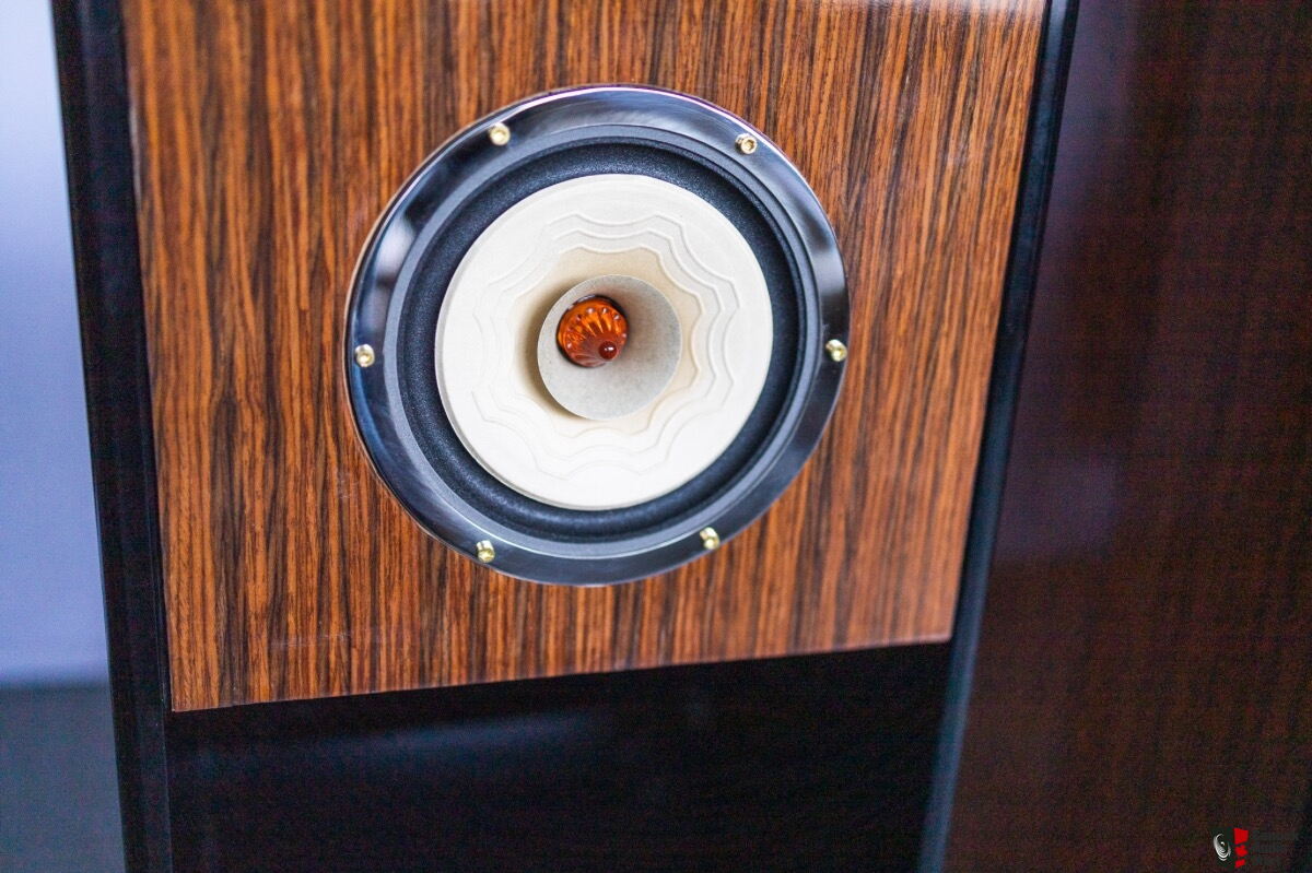 Liionidas Fieke F-6 fron Lii Song pair For Sale - Canuck Audio Mart
