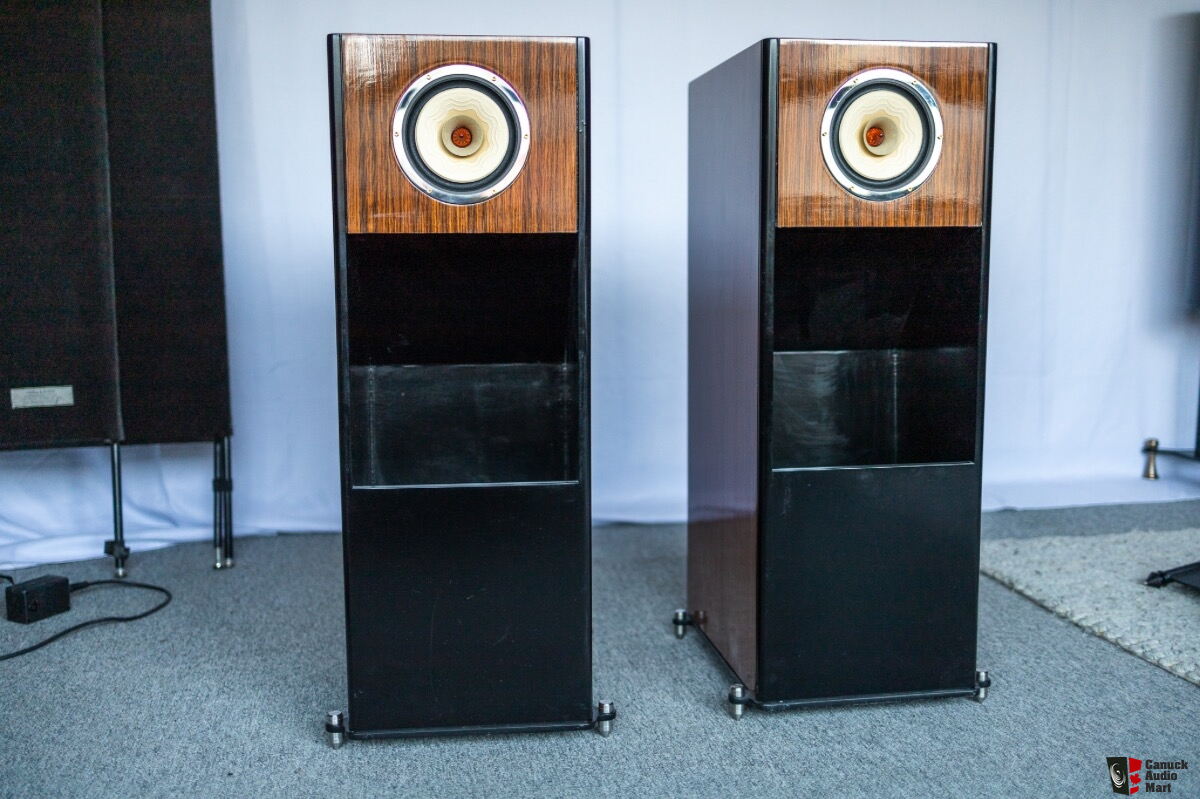 Liionidas Fieke F-6 fron Lii Song pair Photo #4357277 - Canuck Audio Mart