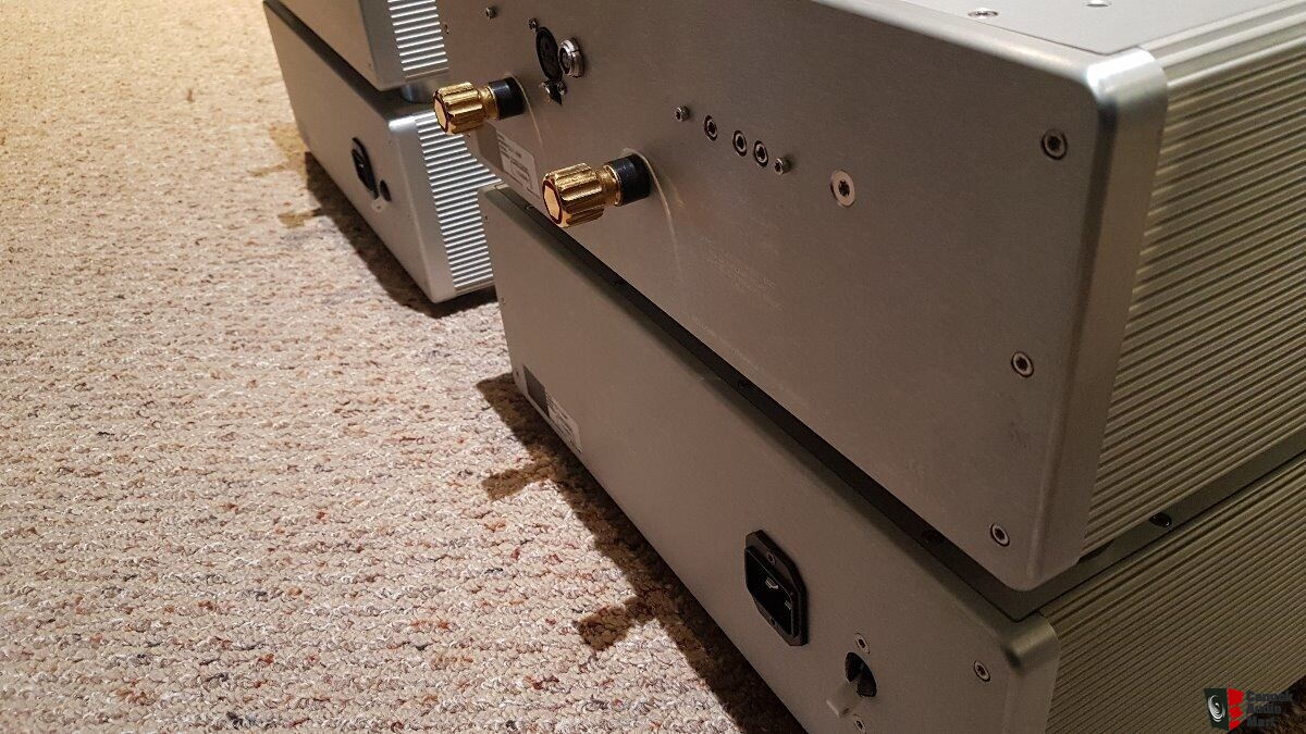 Krell Evo 1 Photo #4359347 - Canuck Audio Mart