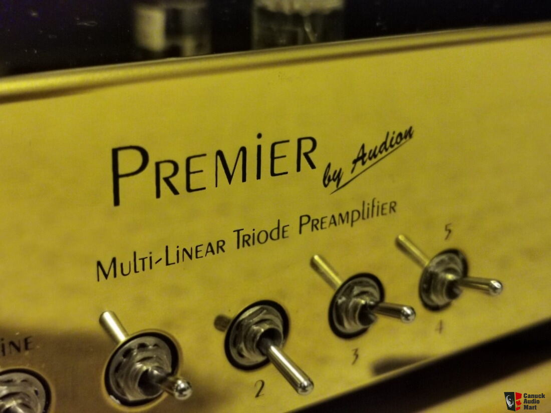 Audion Premier preamplifier and Silver night 300B PP Mono Blocks Photo ...