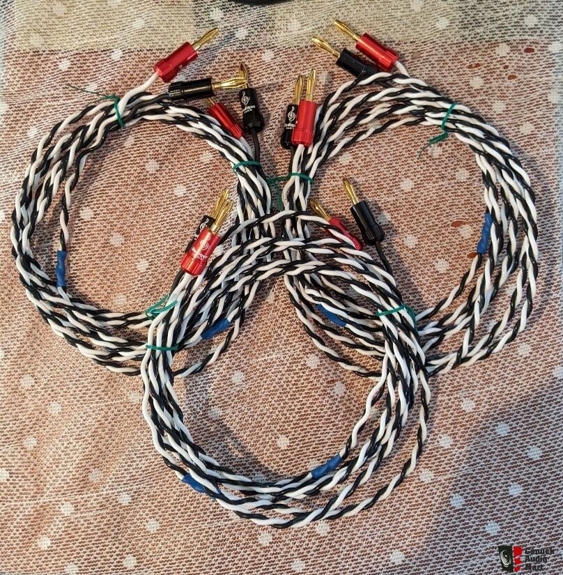 10' 14 AWG Totem Tress Speaker Wire (1 available) Photo #4369004 - US ...