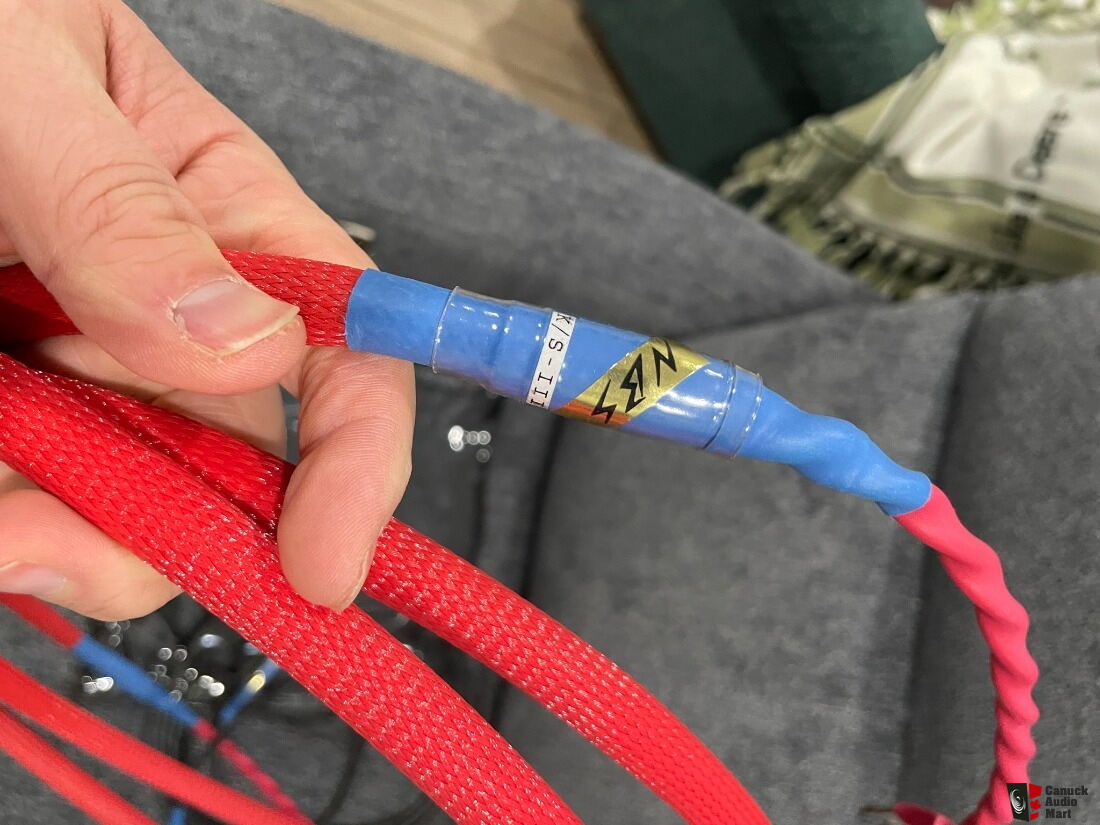 NBS Cables KING SERPENT 3 Speaker Cable 10 FOOT (1 cable) Photo ...