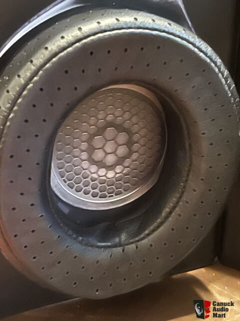 Focal Utopia replacement ear pads Photo #4375629 - Canuck Audio Mart
