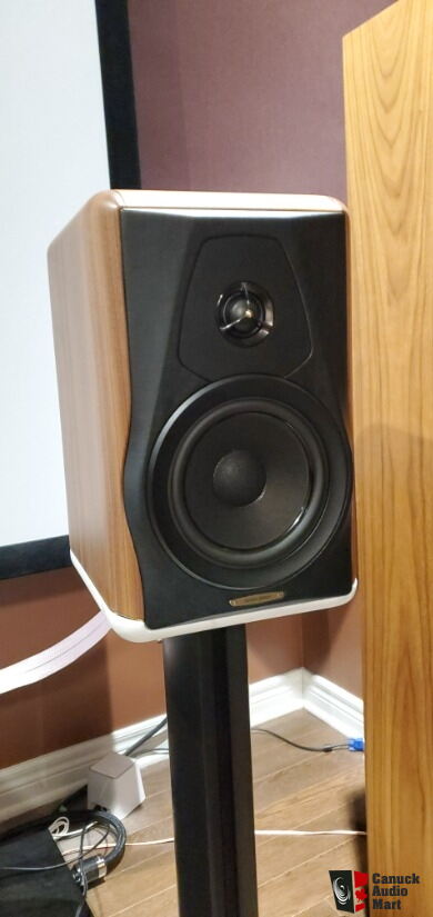 Sonus Faber Electa Amator 3 - $8500 - TODAY ONLY Photo #4383347 ...
